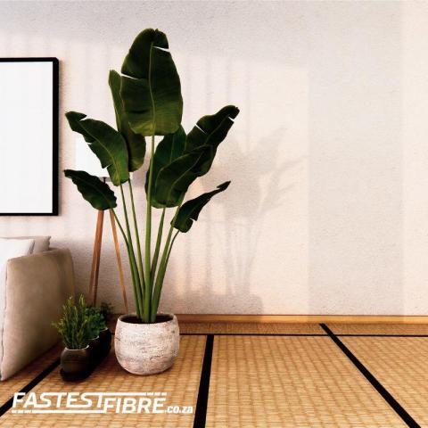 Zoom Fibre Deals 2024 - Find the Best Zoom Fibre Packages